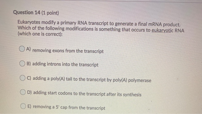 Solved Question 14 (1 point) Eukaryotes modify a primary RNA | Chegg.com