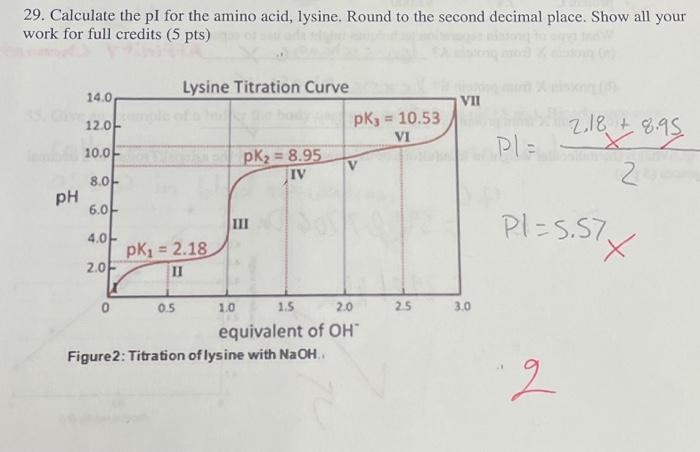 Solved BioChemistry class help! 29. Calculate the pl for the | Chegg.com