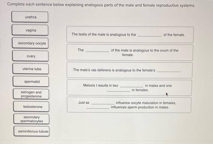 Solved Complete each sentence below explaining analogous | Chegg.com