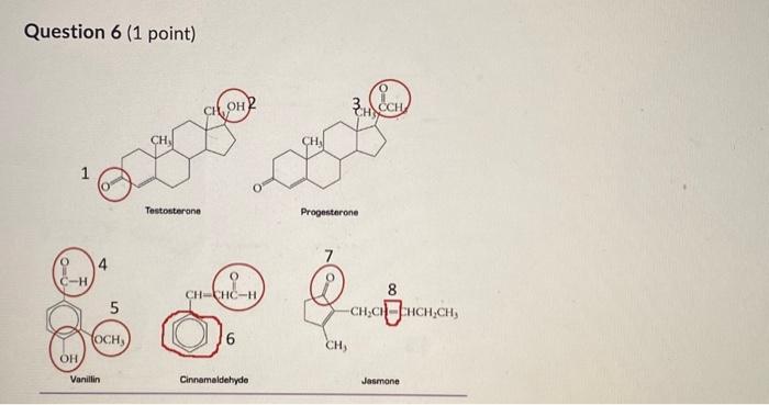 Solved Question 6 (1 point) Testosterone Progesterone Name | Chegg.com