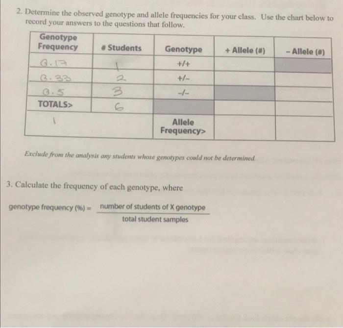 Solved 2. Determine the observed genotype and allele | Chegg.com