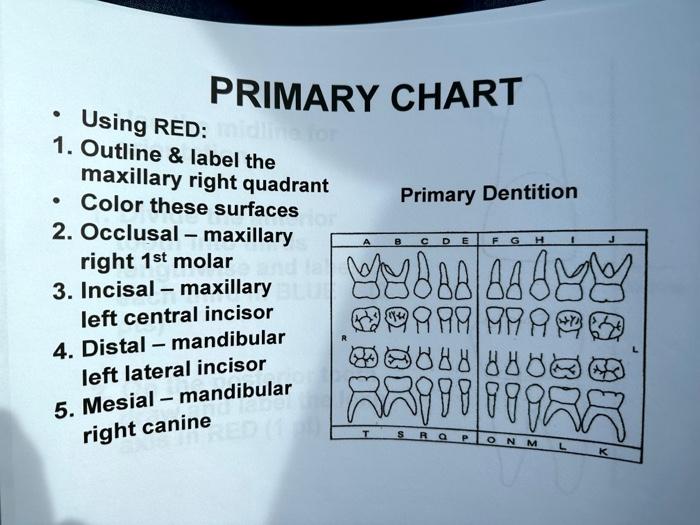 PRIMARY CHART - Using RED: 1. Outline \& label the | Chegg.com