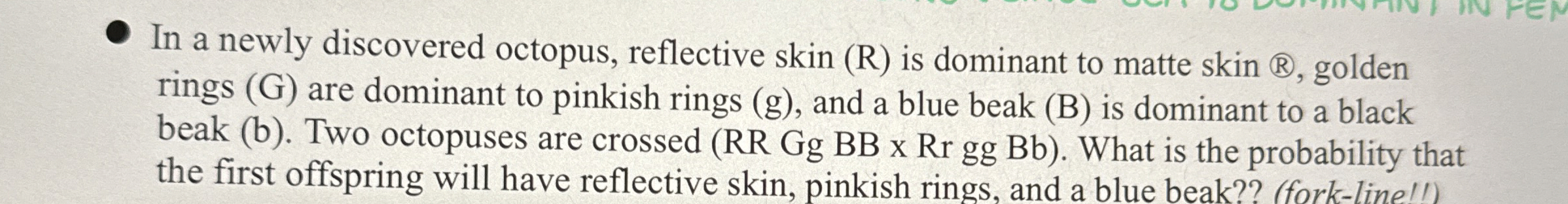 Solved In a newly discovered octopus, reflective skin (R) | Chegg.com