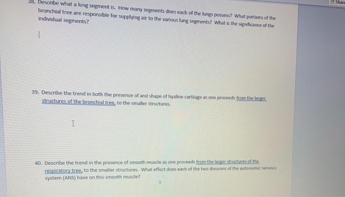 Solved Shar 39. Describe what a lung segment is. How many | Chegg.com