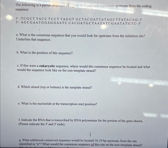 Solved sequence 5'- TCGCT TACC T CCT TAGGT | Chegg.com