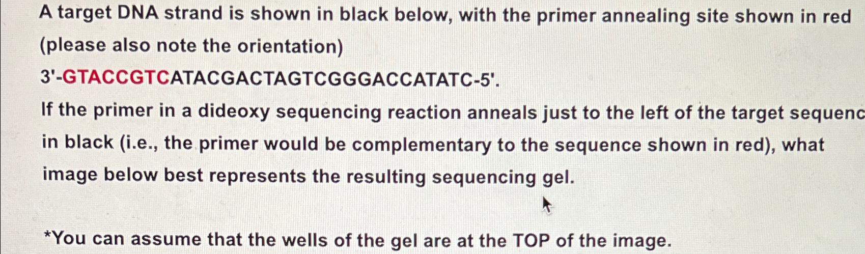 Solved A target DNA strand is shown in black below, with the | Chegg.com