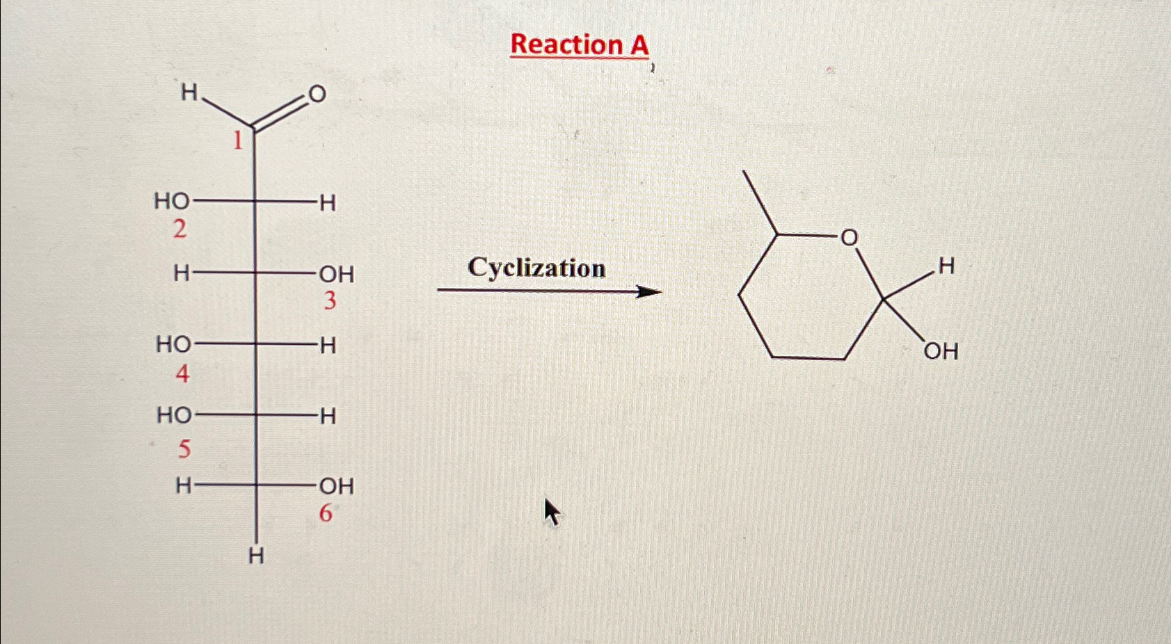 Solved For this questions look at section II of your guide. | Chegg.com