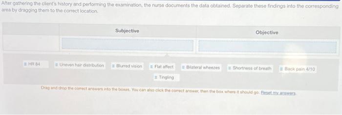 Solved After gathering the client's history and performing | Chegg.com