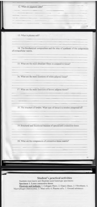 Solved Graphological structure of topic Functions | Chegg.com