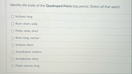 Solved Identify the traits of the Quadruped Pelvis (top | Chegg.com