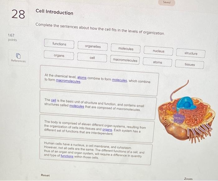 Solved Saved Cell Introduction 28 Complete the sentences | Chegg.com