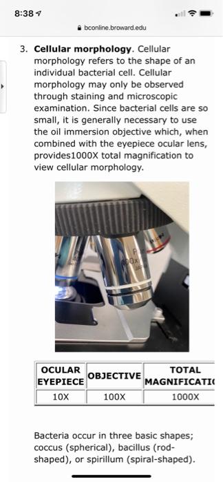 O () c Entire Undulate Lobate Image below: Colony | Chegg.com