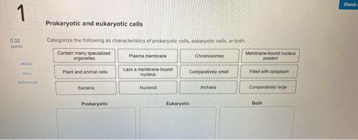 Prokaryotic And Eukaryotic Cells Categorize The