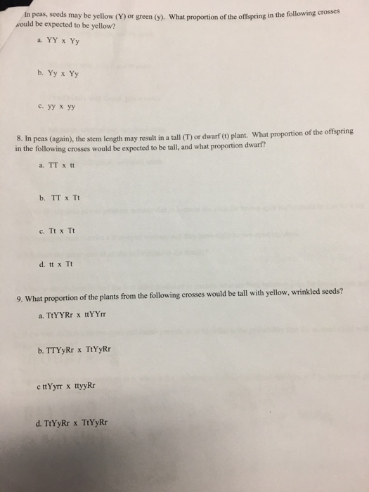 Solved In peas, seeds may be yellow (Y) or green (v) What | Chegg.com