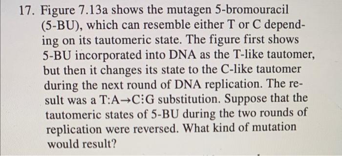 Solved 17. Figure 7.13a shows the mutagen 5-bromouracil | Chegg.com