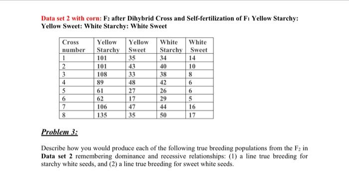 Solved Data set 2 with corn: F2 after Dihybrid Cross and | Chegg.com