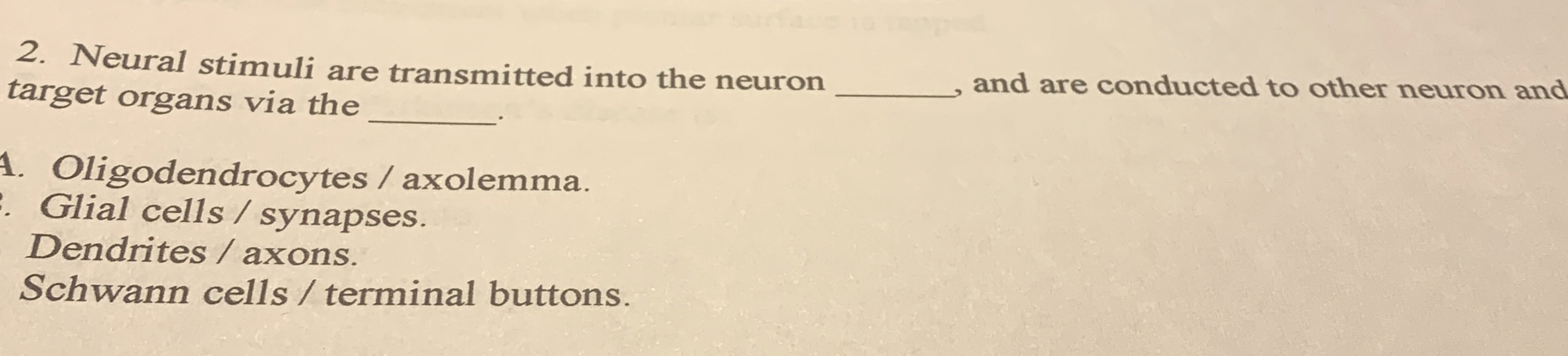 High Quality SOLUTION Neural stimuli are transmitted into the neuron target | Chegg.com