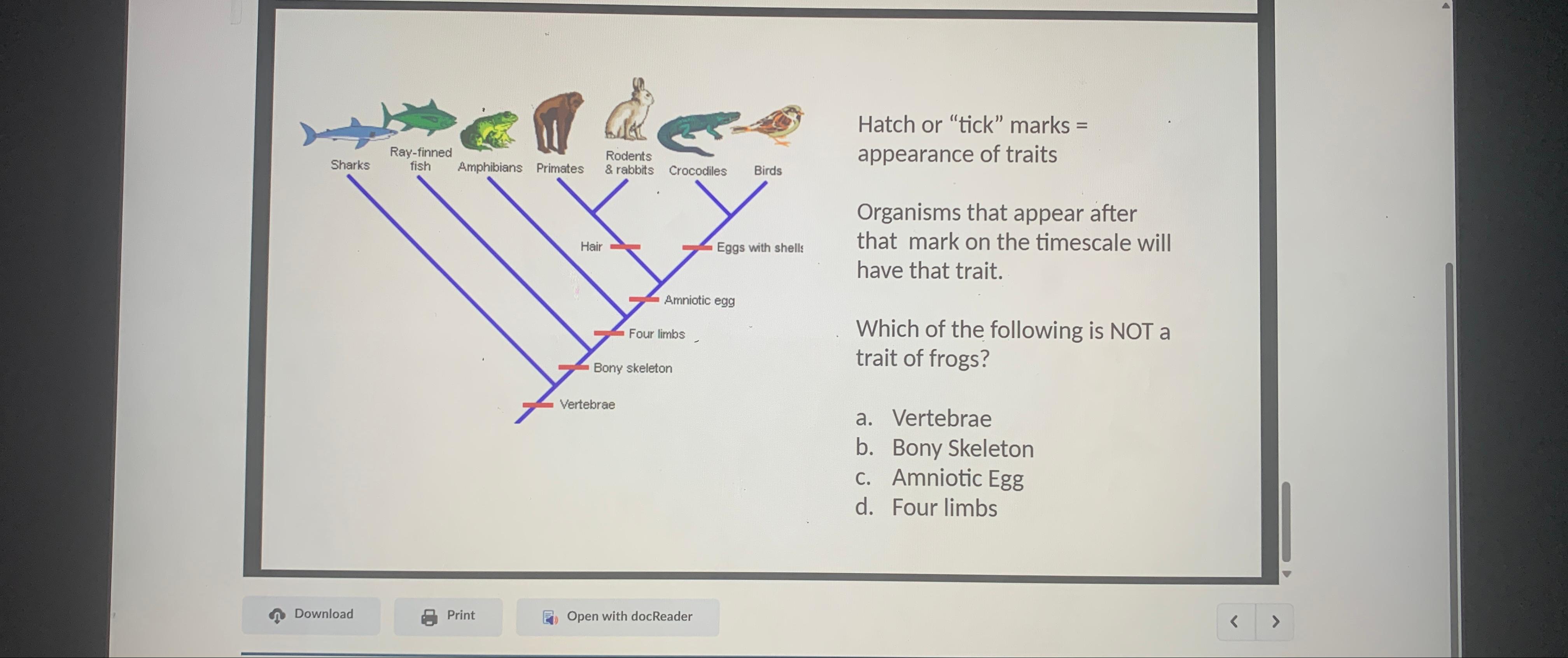 Solved Hatch or "tick" marks = ﻿appearance of | Chegg.com