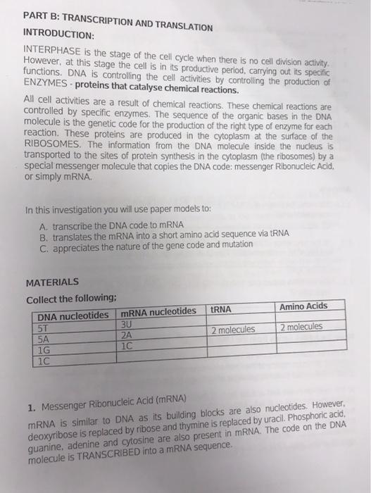 Solved PART B: TRANSCRIPTION AND TRANSLATION INTRODUCTION: | Chegg.com
