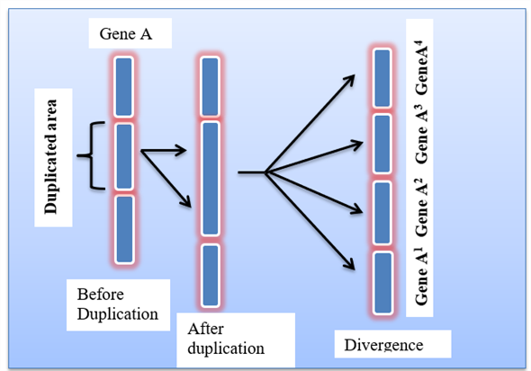 Chapter 1.4 Solutions | Genetics: From Genes To Genomes 6th Edition ...