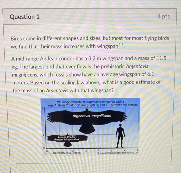 Solved Question 1 4 pts Birds come in different shapes and | Chegg.com