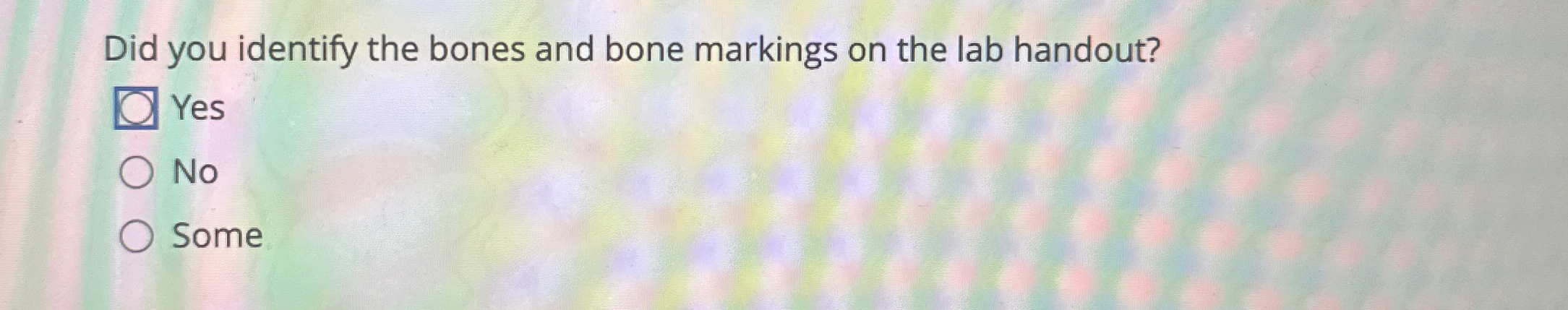 Solved Did you identify the bones and bone markings on the | Chegg.com