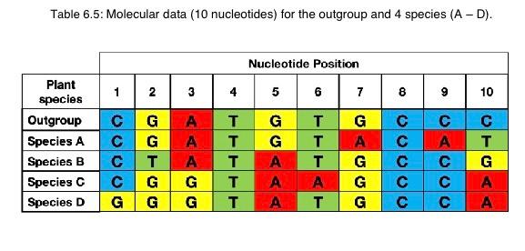 Solved Table 6.5: Molecular data (10 nucleotides) for the | Chegg.com