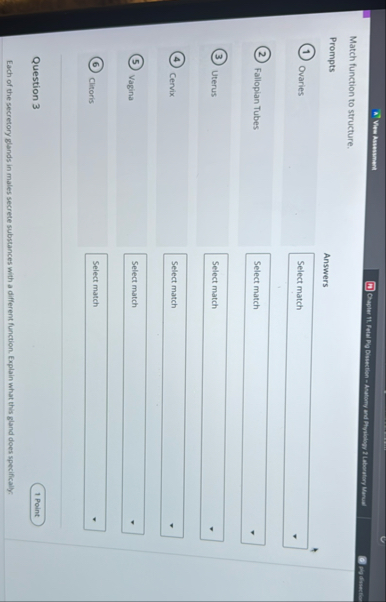 Vere AmeremmersMatch function to | Chegg.com