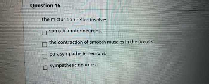 Solved Question 16 The micturition reflex involves somatic | Chegg.com