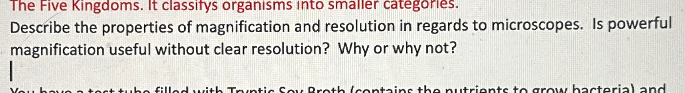 Solved Describe the properties of magnification and | Chegg.com