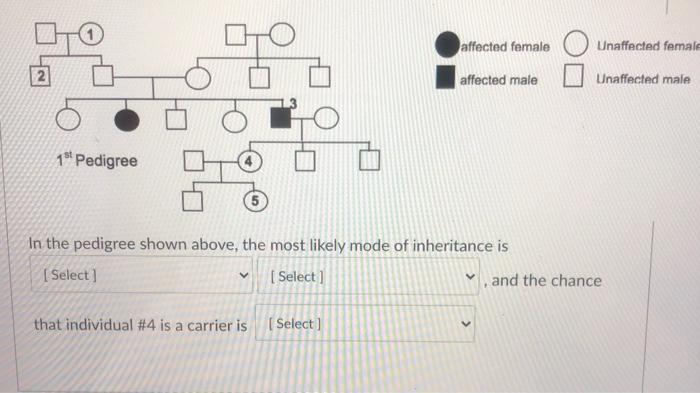 Solved affected female Unaffected female 몸 affected male | Chegg.com
