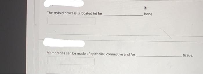 Solved The styloid process is located int he bone Membranes | Chegg.com