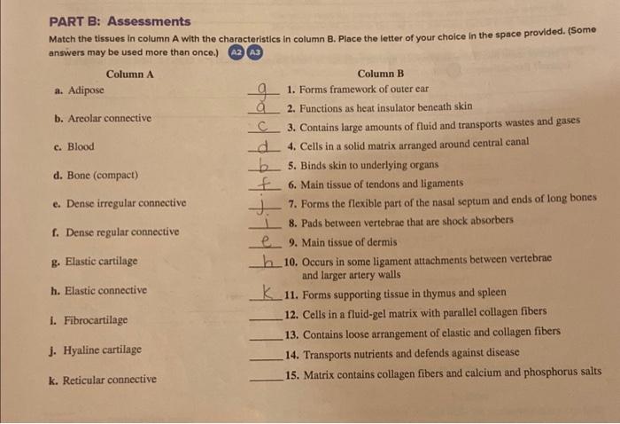 PART B: Assessments Match the tissues in column A | Chegg.com