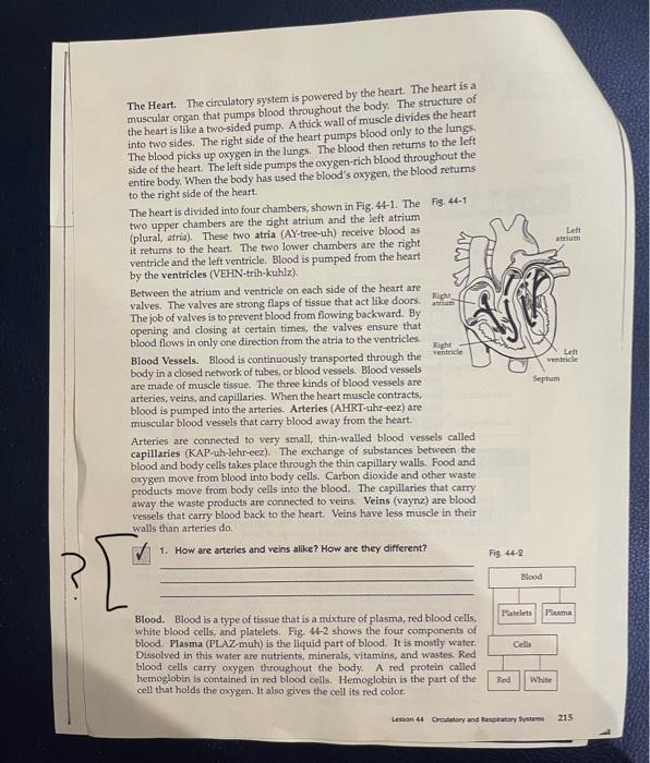 Solved Circulatory and Respiratory Systems circulation: | Chegg.com