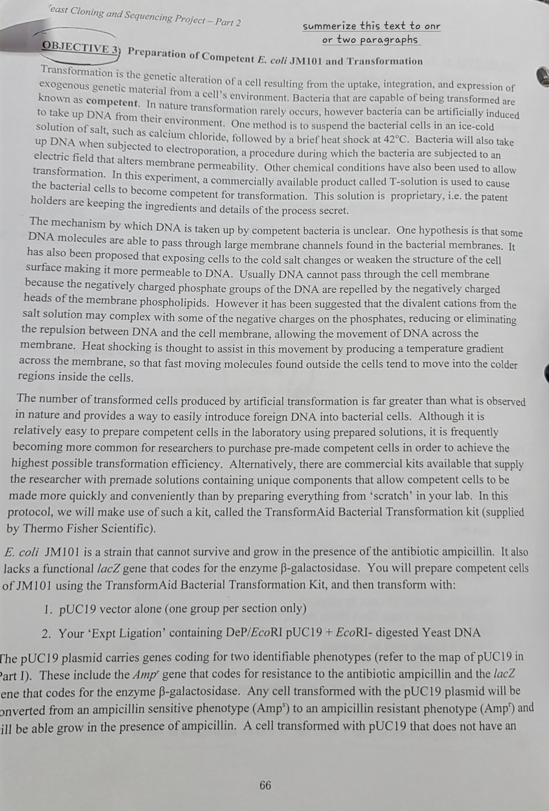 Solved 'east Cloning and Sequencing Project - ﻿Part | Chegg.com
