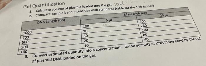 Gel Quantification of plasmid loaded into the gel | Chegg.com
