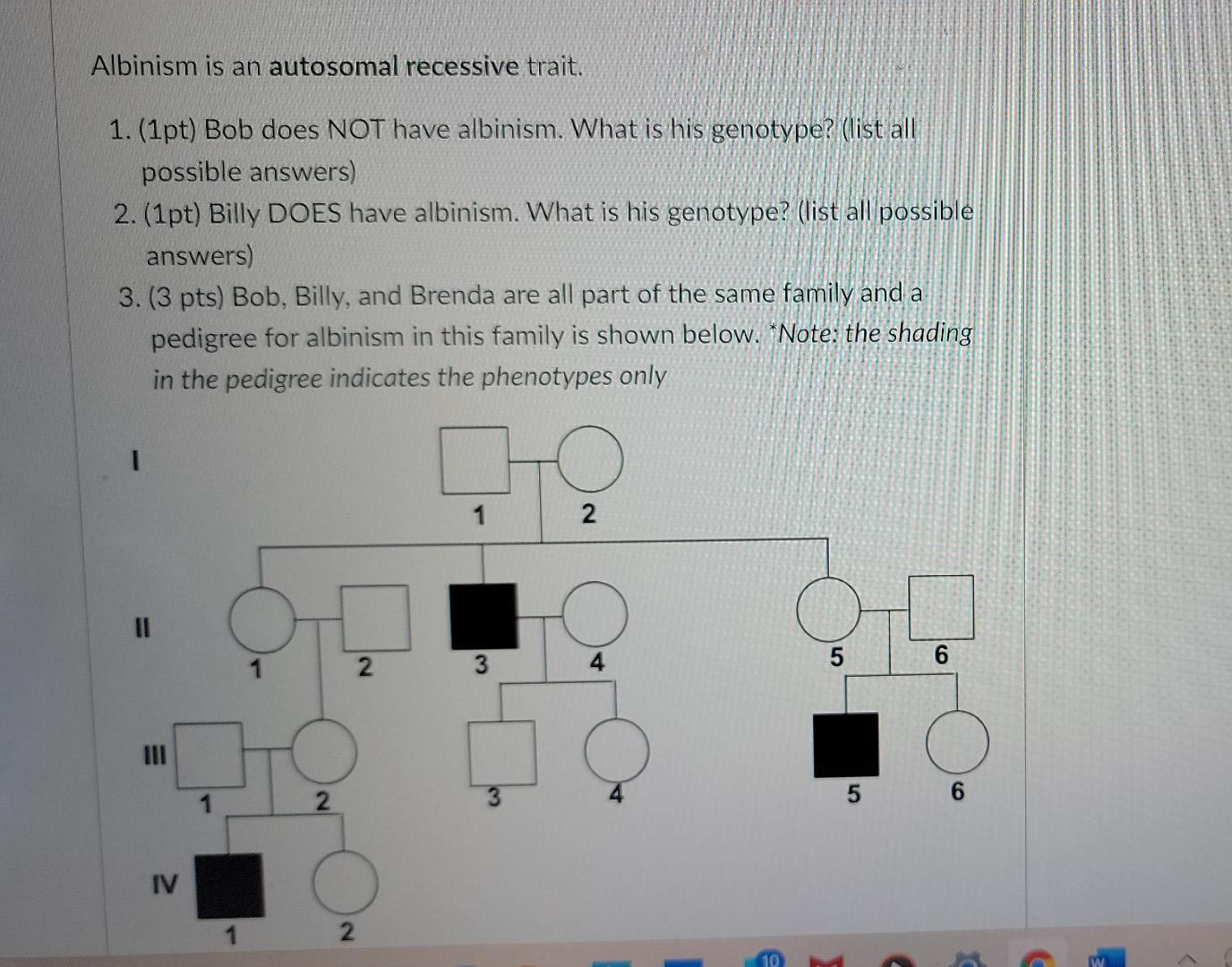 Solved Albinism is an autosomal recessive trait. 1.(1pt) Bob | Chegg.com