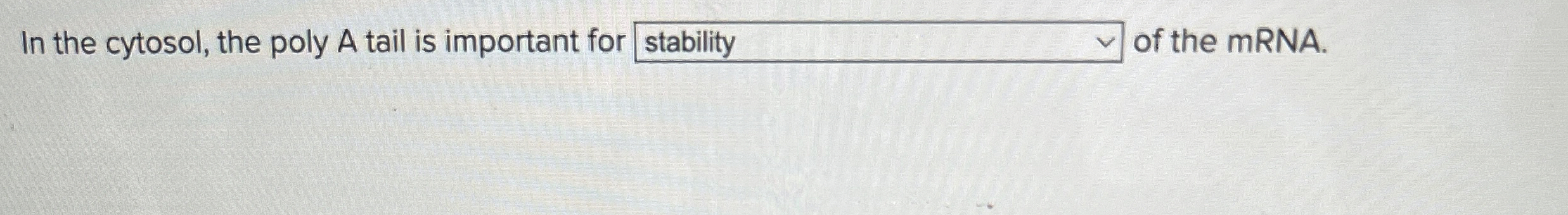 Solved In the cytosol, the poly A tail is important for | Chegg.com