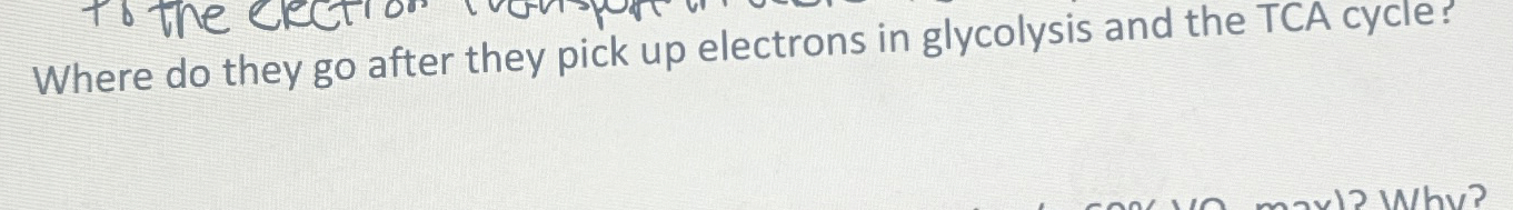 Solved Where do Nad+ ﻿and FAD+ ﻿go after they pick up | Chegg.com