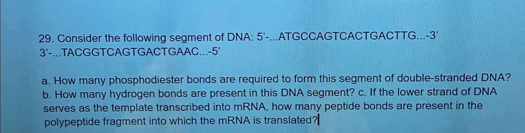 Solved Consider the following segment of DNA: 5'-dots | Chegg.com