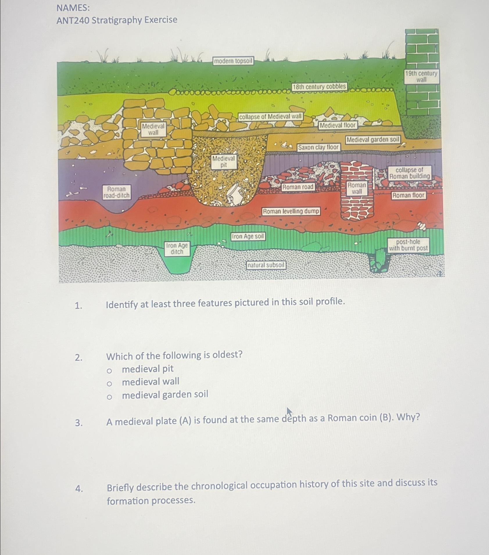 Solved NAMES:ANT240 ﻿Stratigraphy ExerciseIdentify at least | Chegg.com