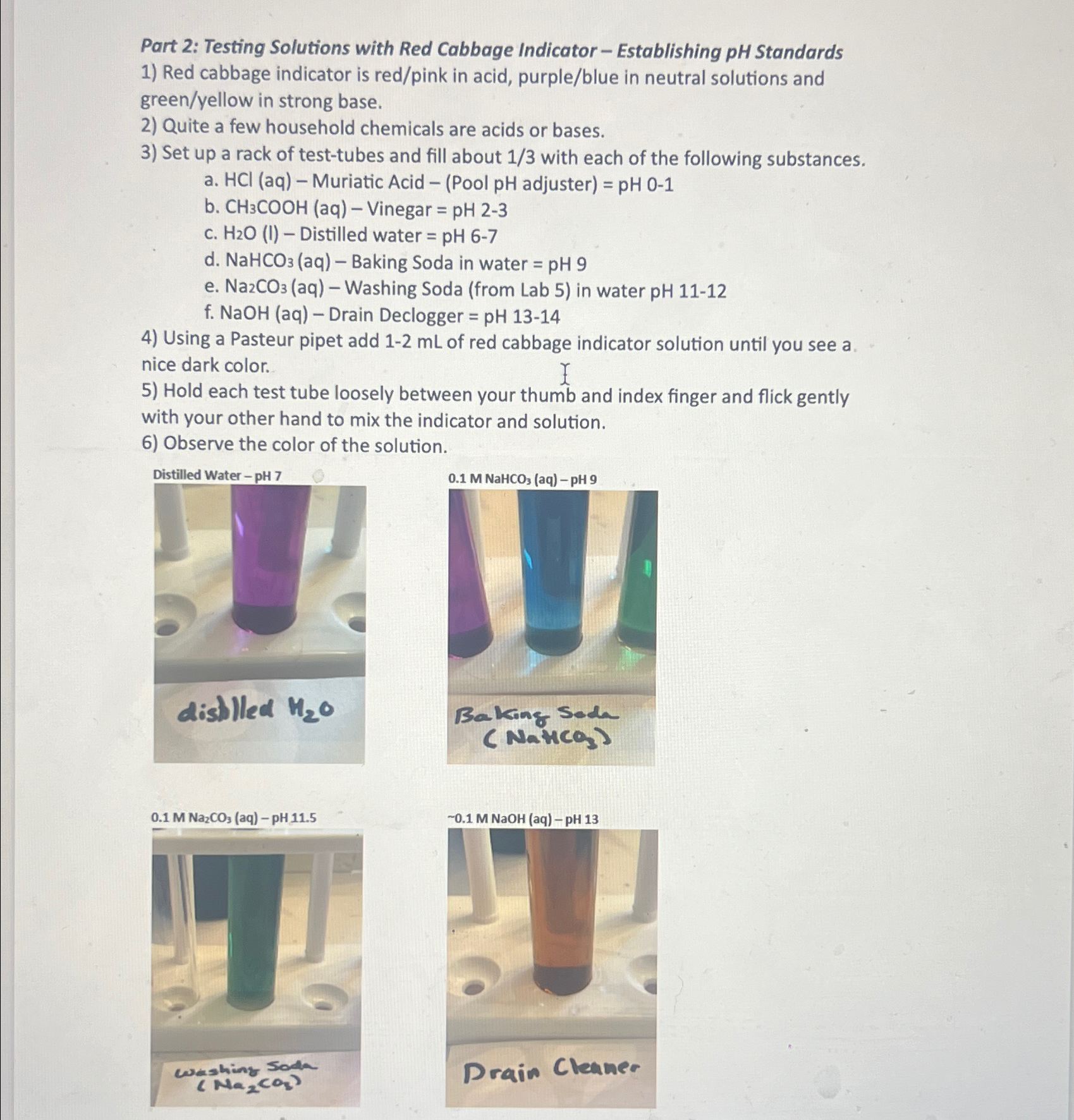 Part 2: Testing Solutions with Red Cabbage | Chegg.com