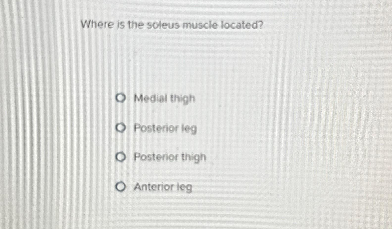 Solved Where is the soleus muscle located?Medial | Chegg.com