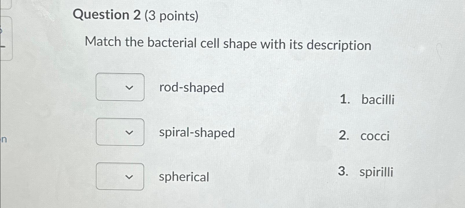 Solved Question 2 (3 ﻿points)Match the bacterial cell shape | Chegg.com