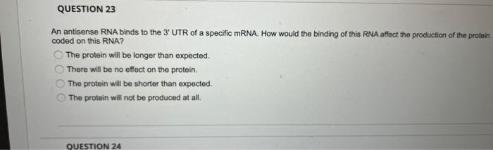 Solved An antisense RNA binds to the 3' UTR of a specific | Chegg.com