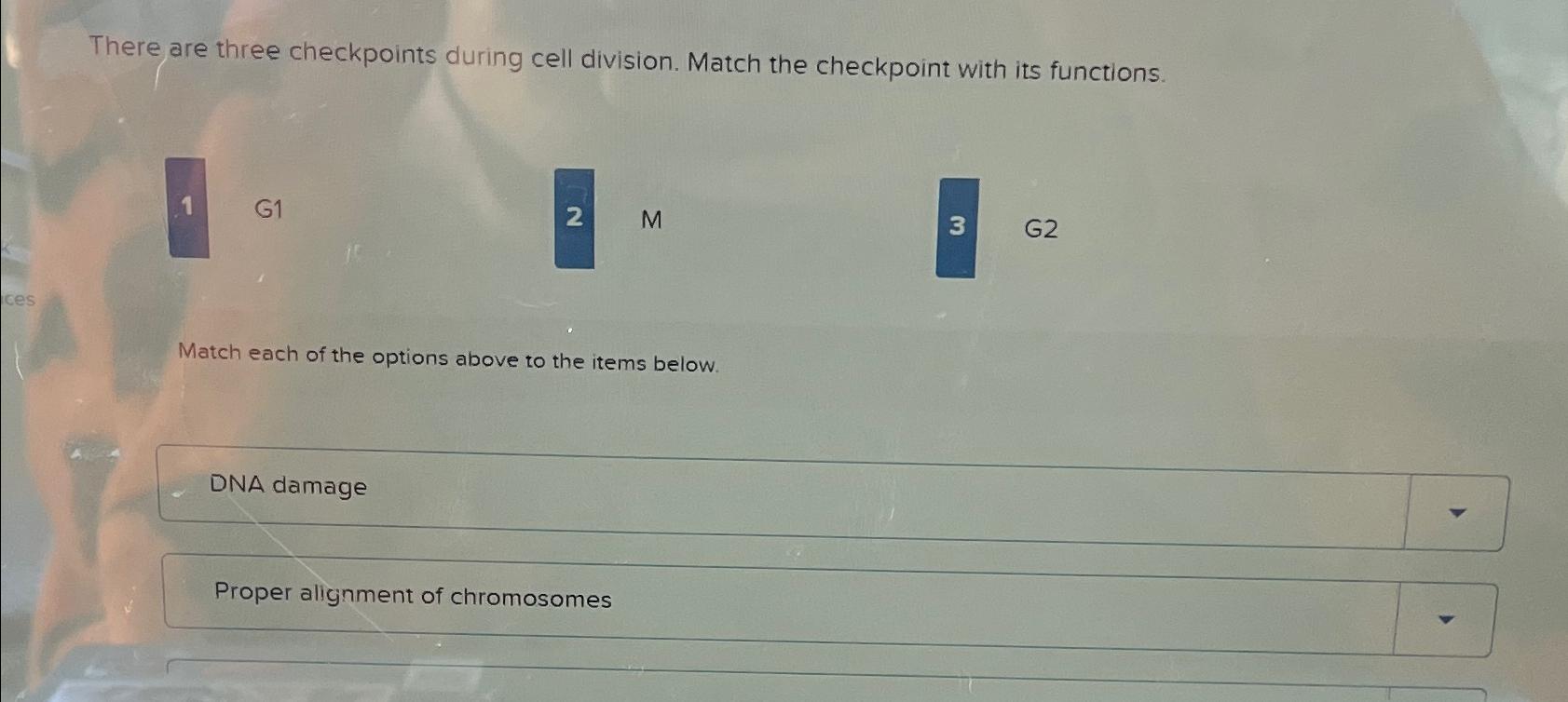 Solved There are three checkpoints during cell division. | Chegg.com