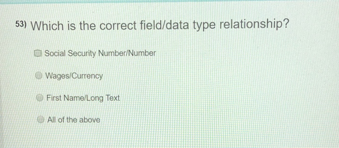 Solved 53) Which is the correct field/data type | Chegg.com