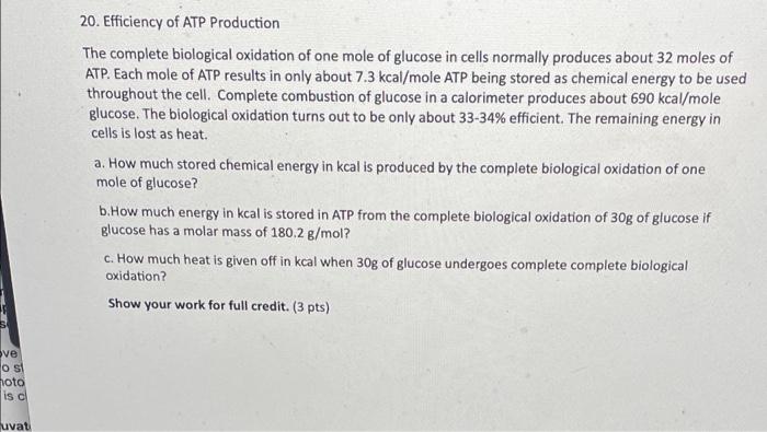 Solved 20. Efficiency of ATP Production The complete | Chegg.com