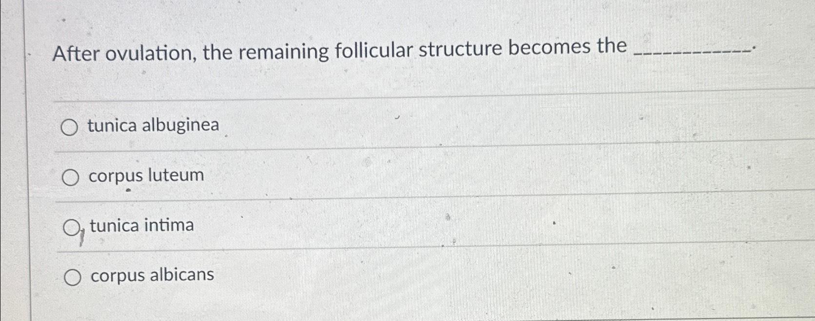 Solved After ovulation, the remaining follicular structure | Chegg.com