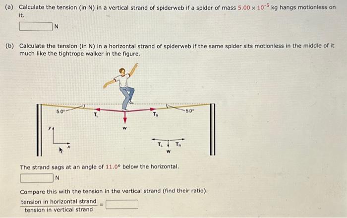 Solved (a) Calculate the tension (in N ) in a vertical | Chegg.com